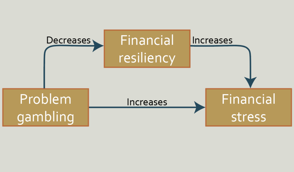 The WAGER, Vol. 27(6) – Betting on stress?: Problem gambling, financial ...
