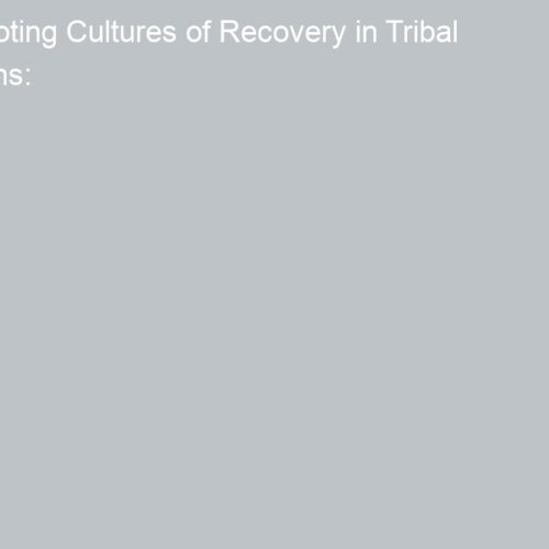 Promoting Cultures of Recovery in Tribal Nations: NARCH – BASIS (The ...